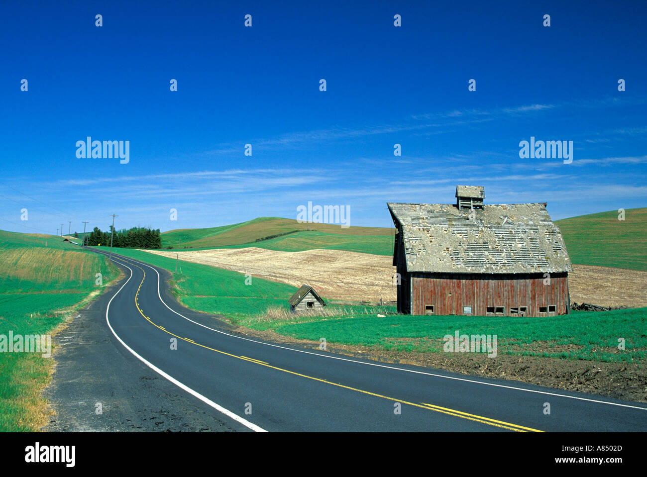 Old red barn beside road through countryside Palouse area Washington ...