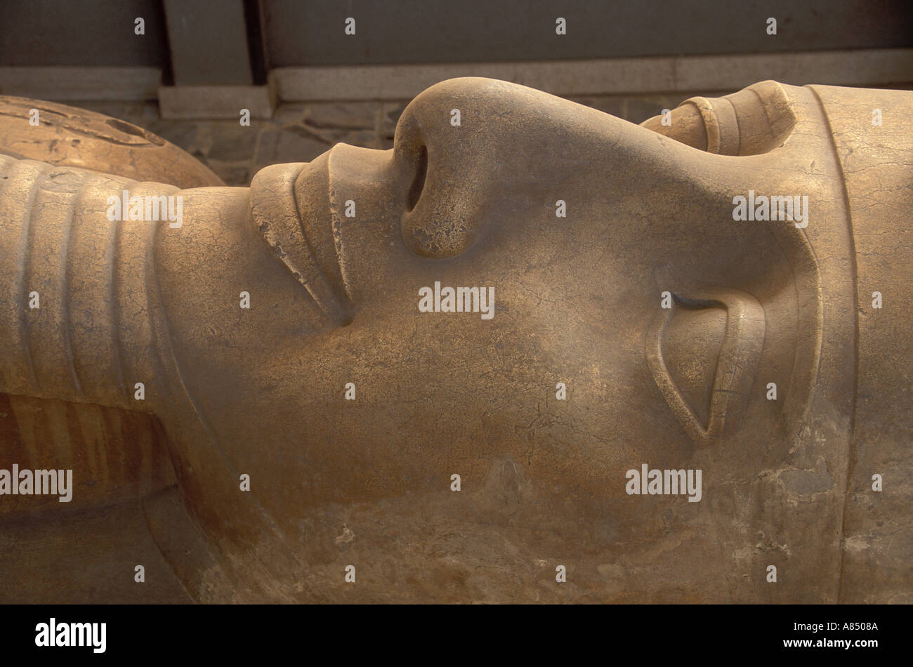 Face Detail Ramesses II Fallen Statue Stock Photo - Alamy