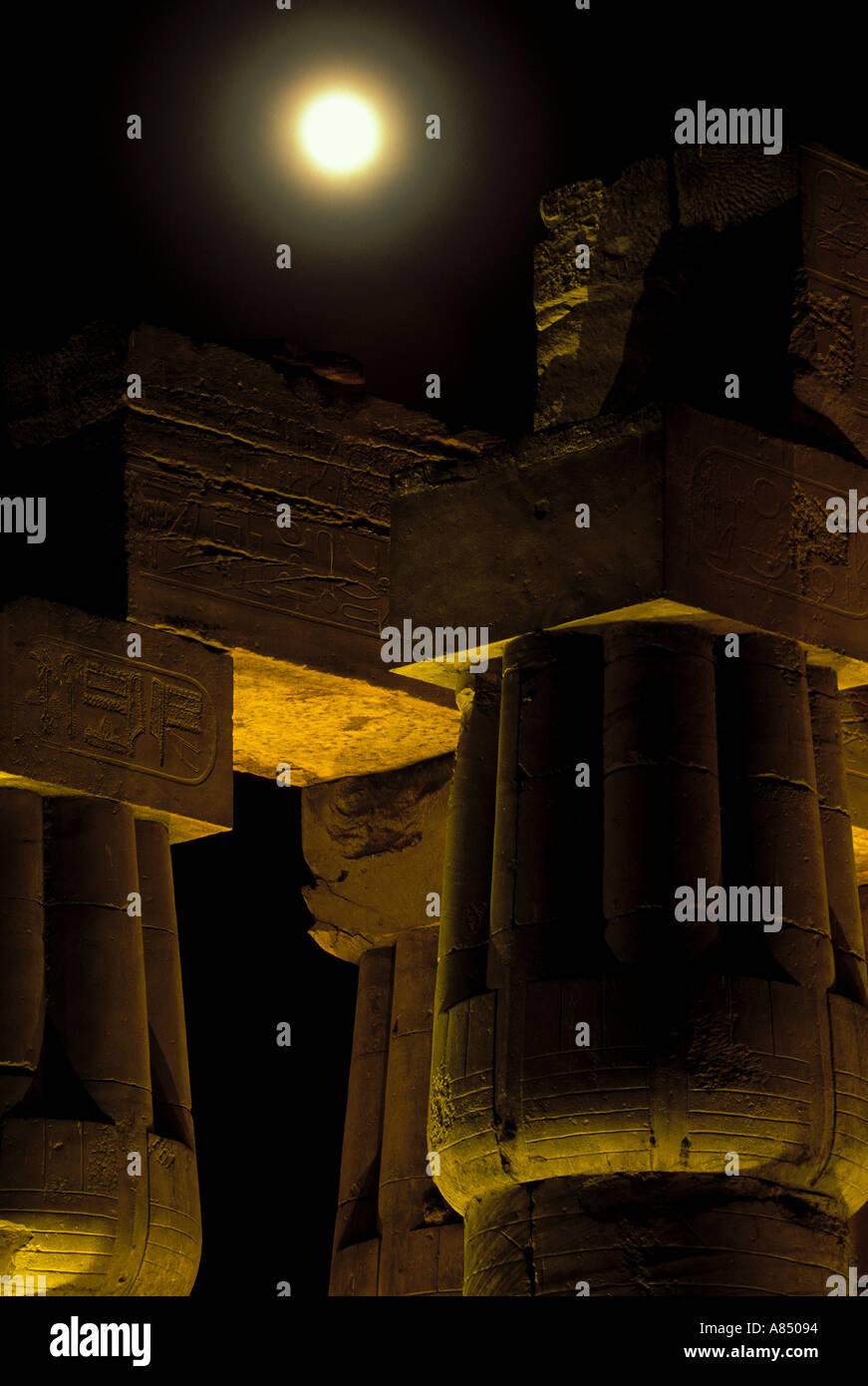 Lotus Columns and Full Moon Luxor Temple EGYPT Stock Photo - Alamy