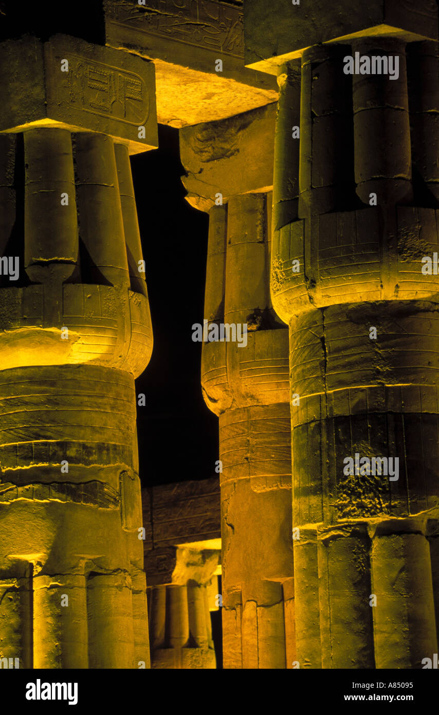 Lotus Columns at Night Luxor Temple EGYPT Stock Photo - Alamy