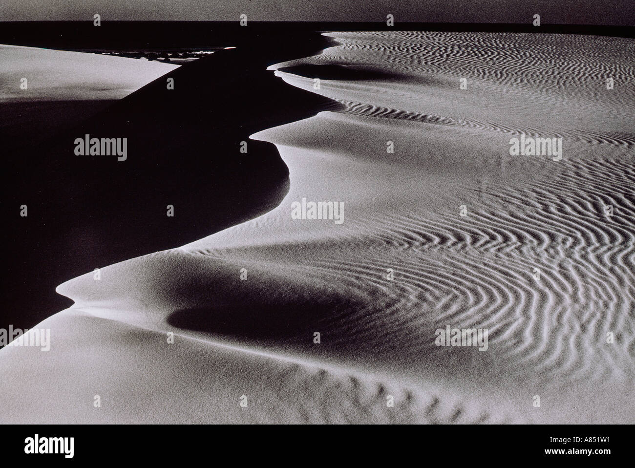 Migrating coastal dune hi-res stock photography and images - Alamy
