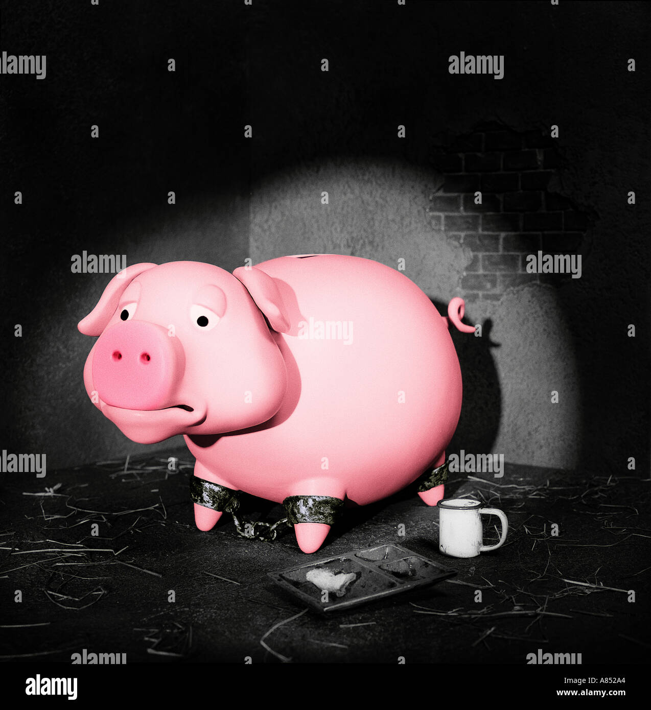 prison pig 4 Stock Photo - Alamy