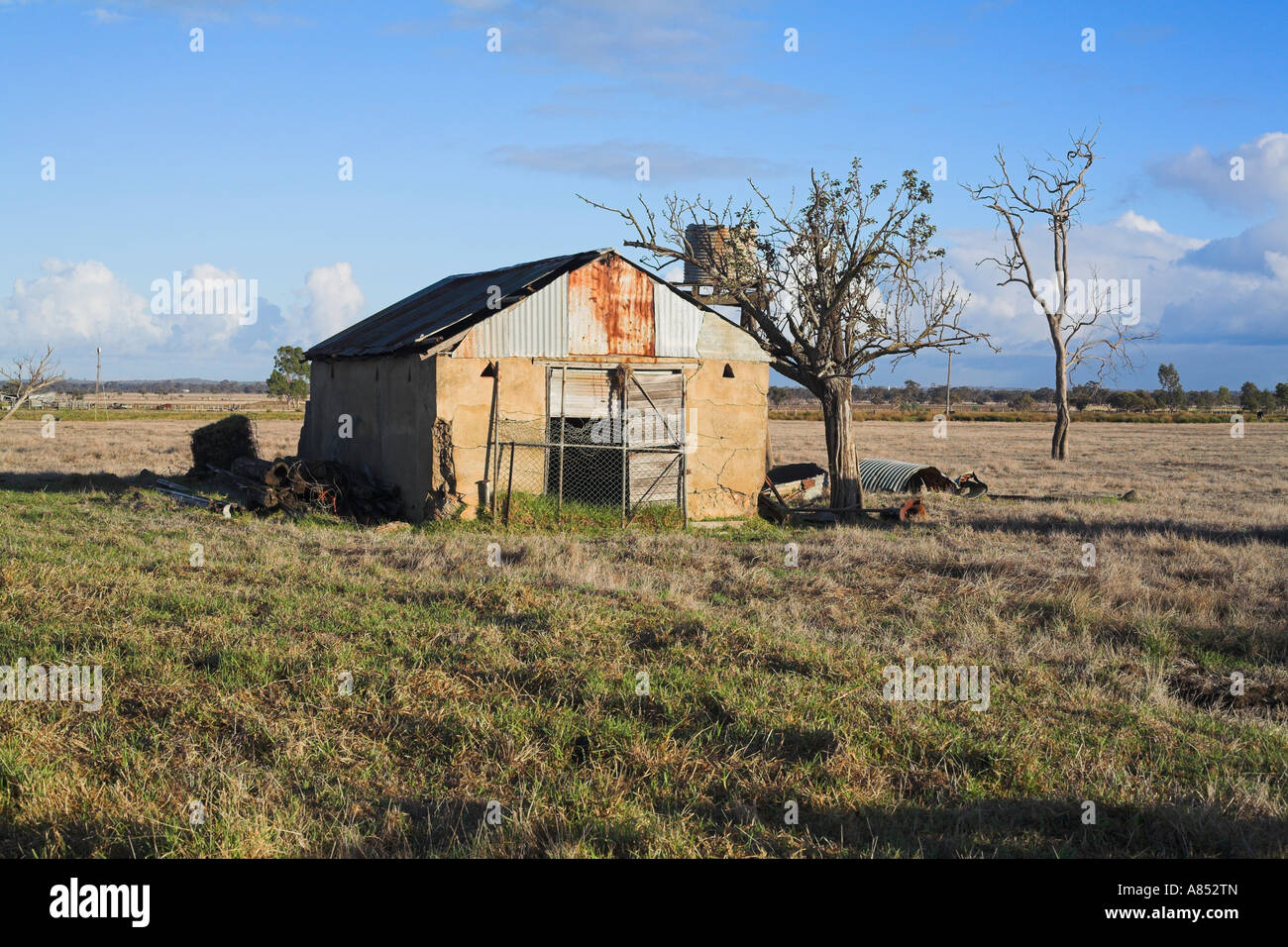 old and falling apart Australian barn in a paddock Stock Photo - Alamy