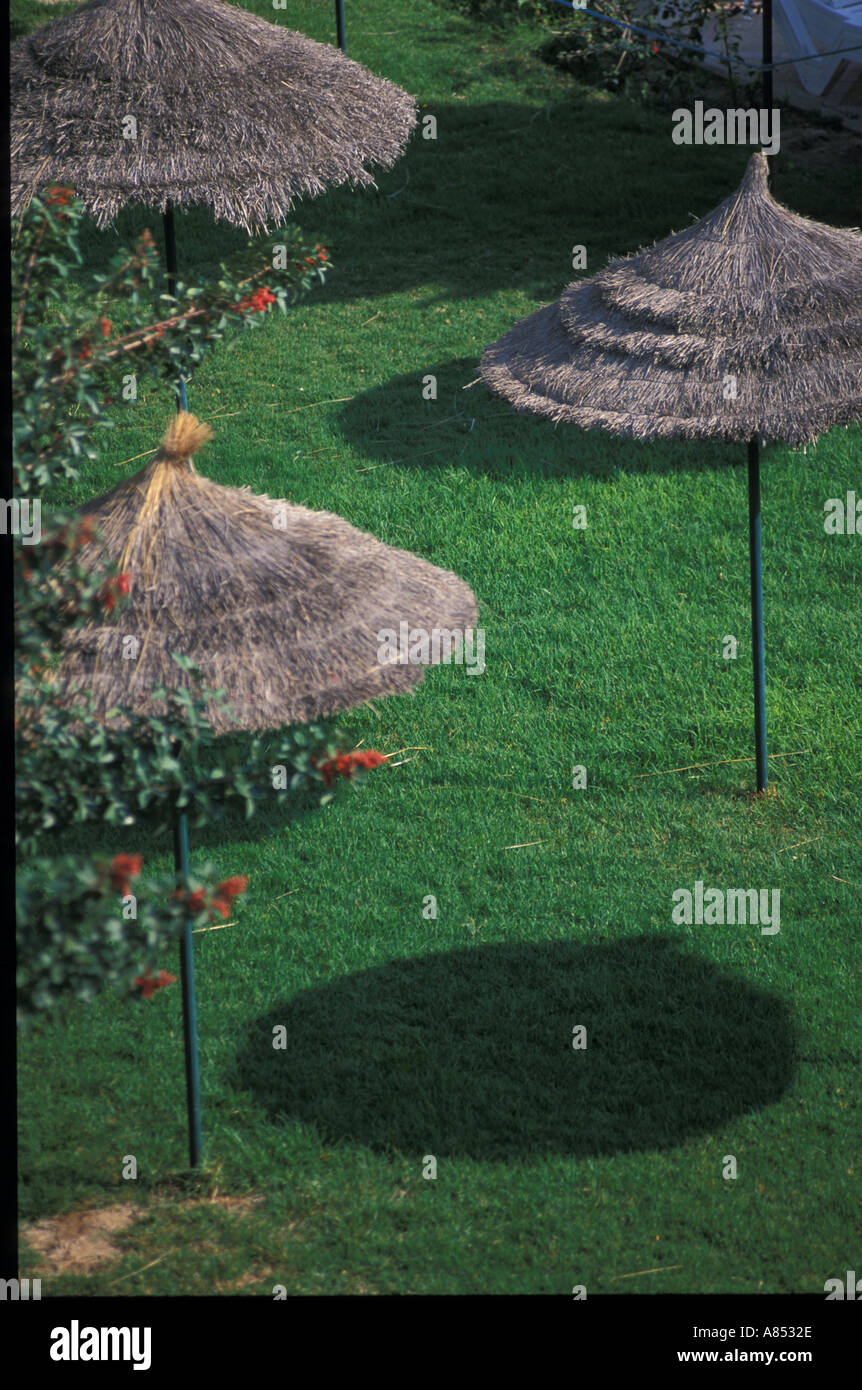 Grass Sun Parasols Stock Photo - Alamy
