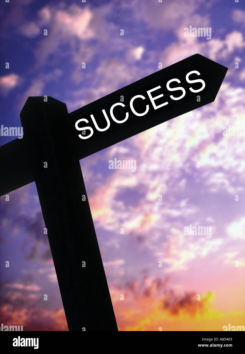 signpost pointing to success Stock Photo - Alamy