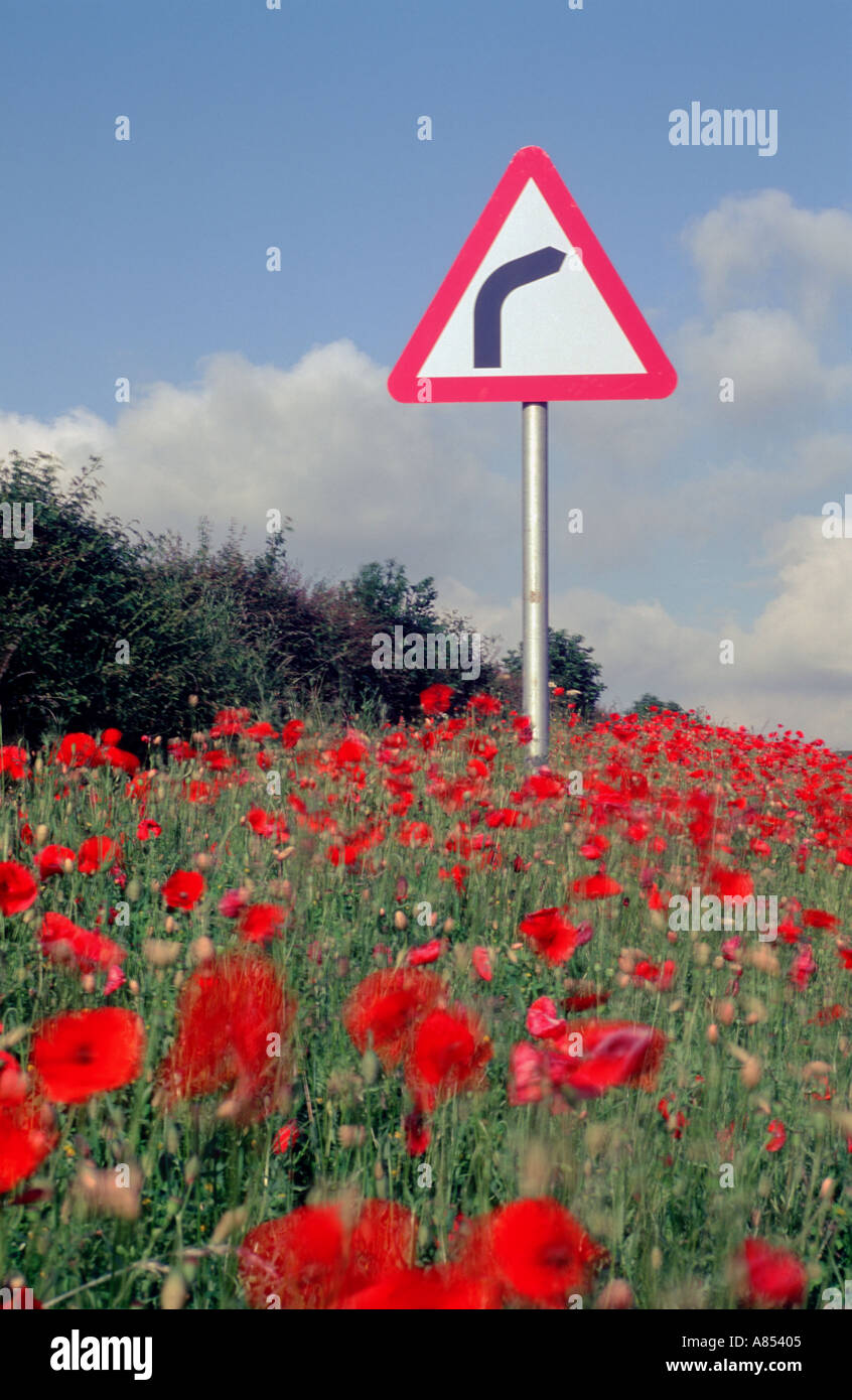 Bend poppy hi-res stock photography and images - Alamy