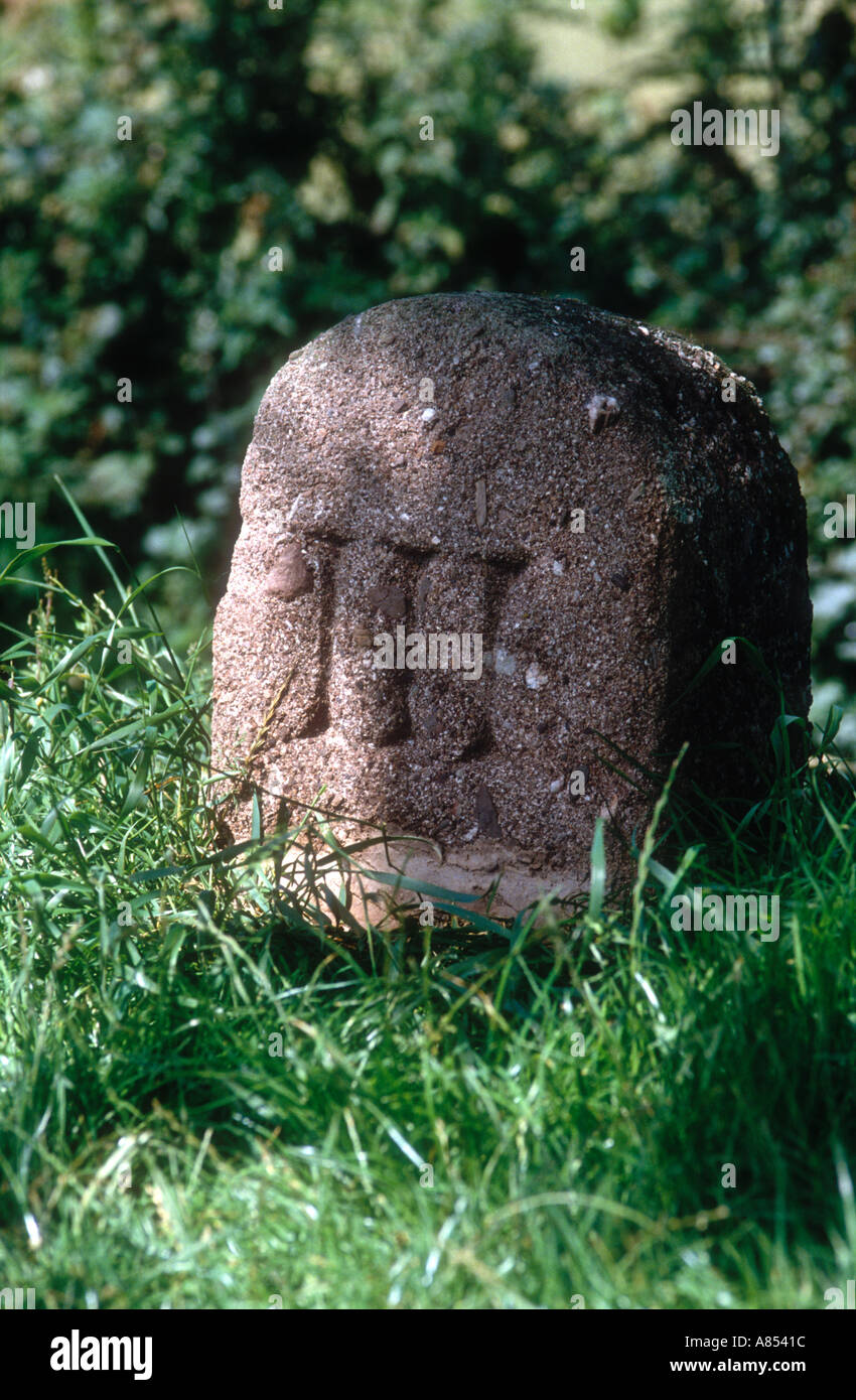 Halberton hi-res stock photography and images - Alamy