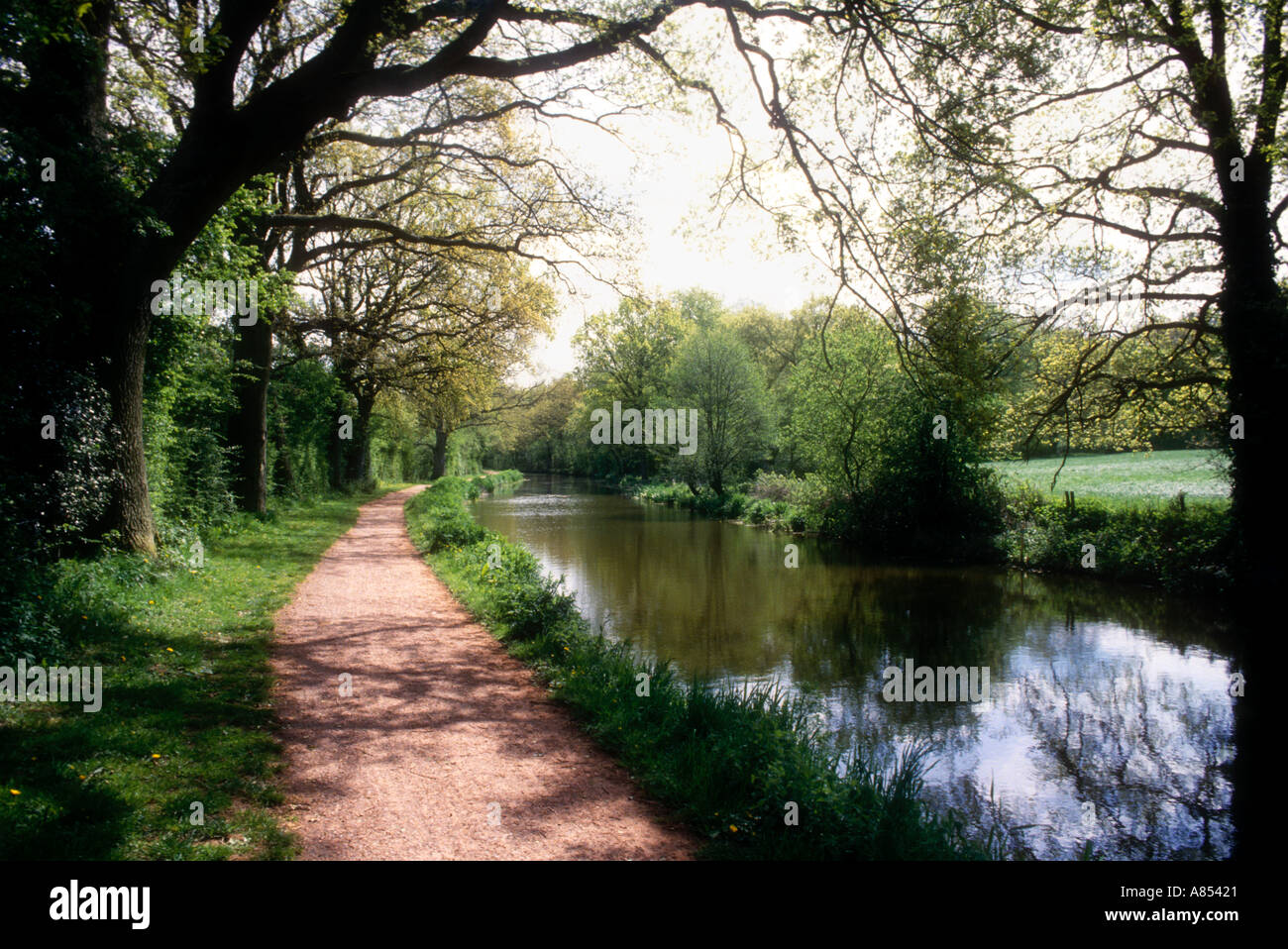 The Grand Western Canal just south of Manley Bridge near Tiverton in ...
