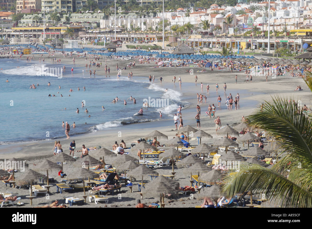 Playa Torviscas Adeje Tenerife Canary Islands High Resolution Stock ...