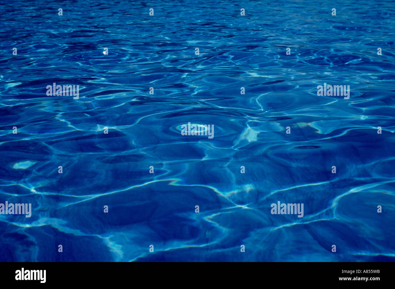 Close up of shallow blue water surface of swimming pool Stock Photo - Alamy