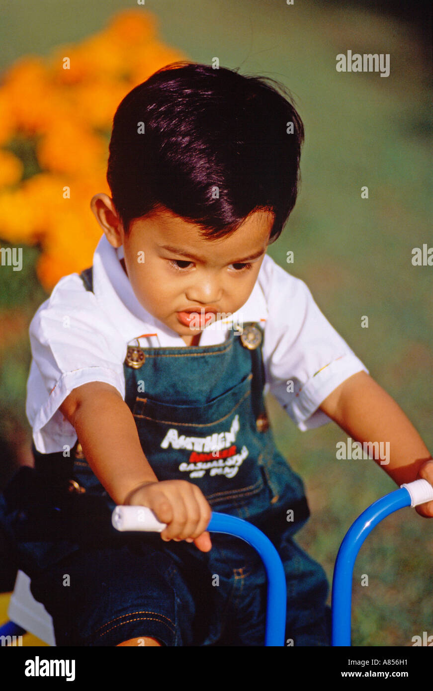 Little boy child toddler riding tricycle outdoors Stock Photo - Alamy