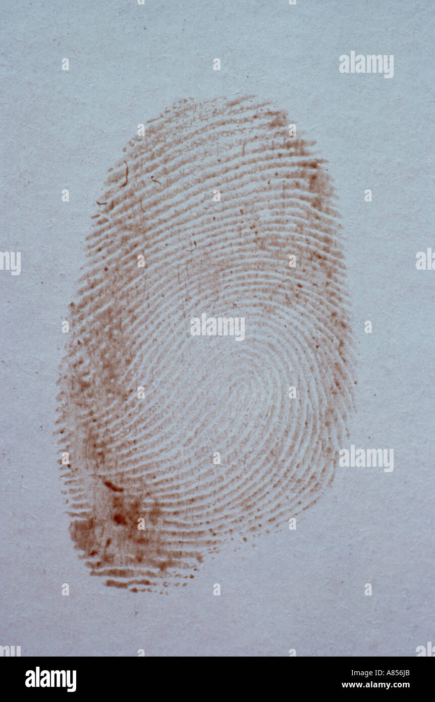 Forensic science hi-res stock photography and images - Alamy