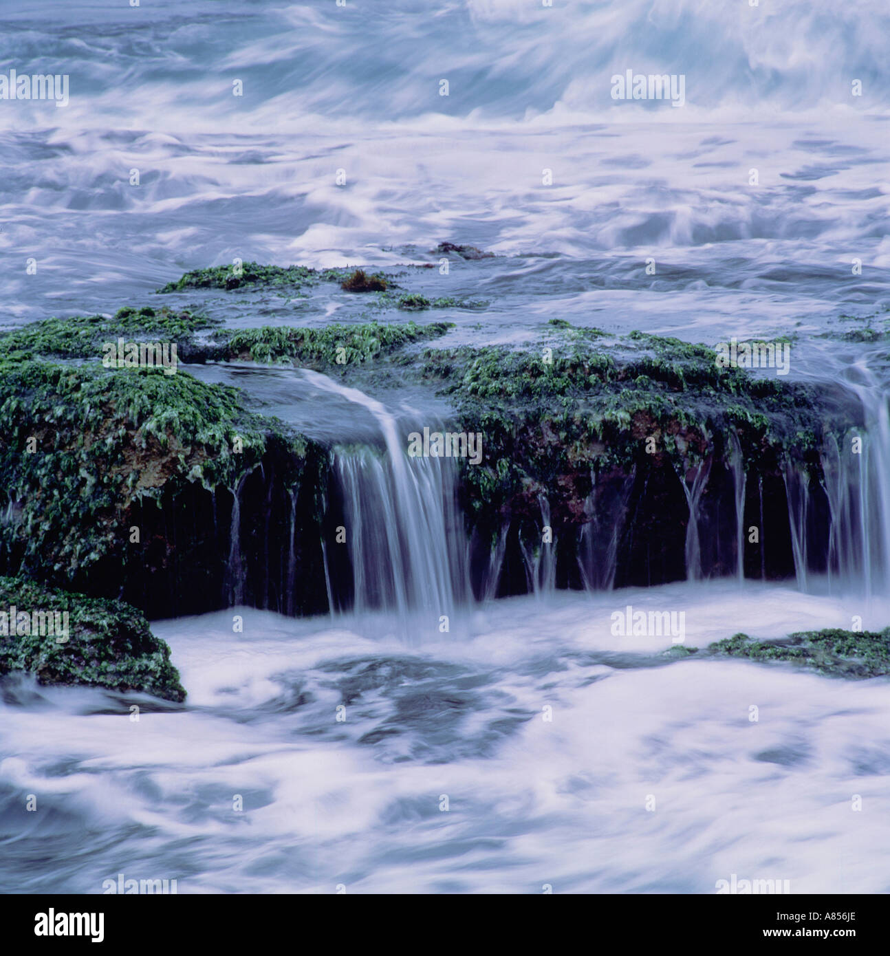 Australia. Waves on seaweed covered rocks Stock Photo - Alamy