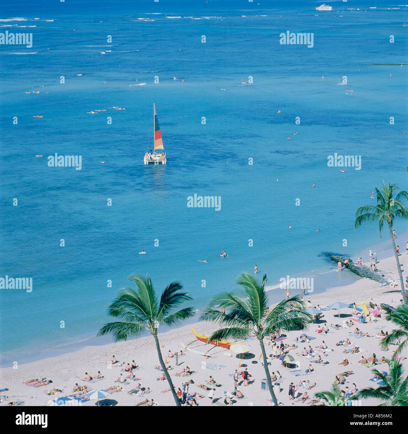 Hawaii. Honolulu. Waikiki Beach. High viewpoint of sandy bay with ...