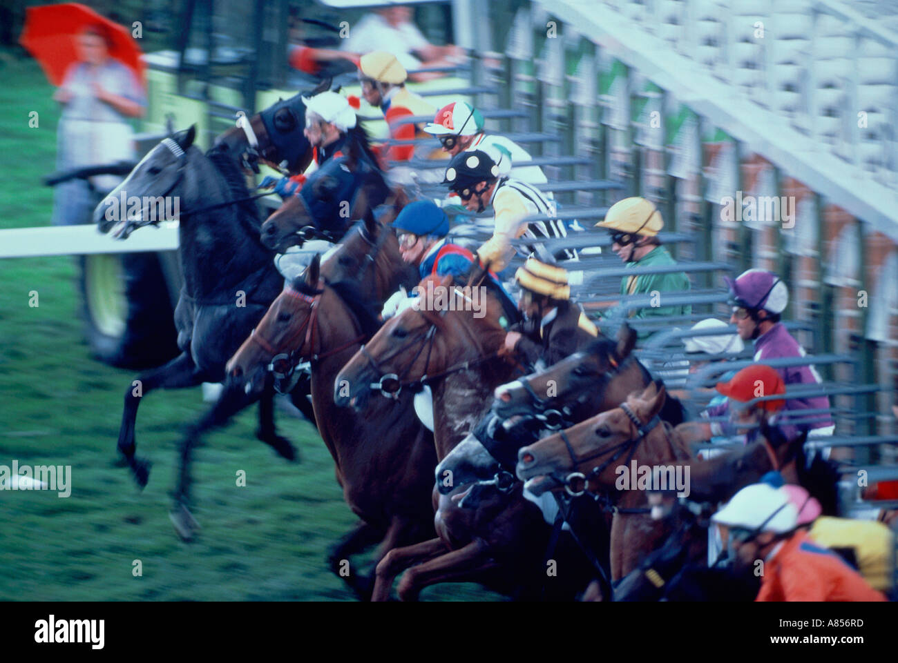 Horse race on turf. Racecourse start gate Stock Photo - Alamy