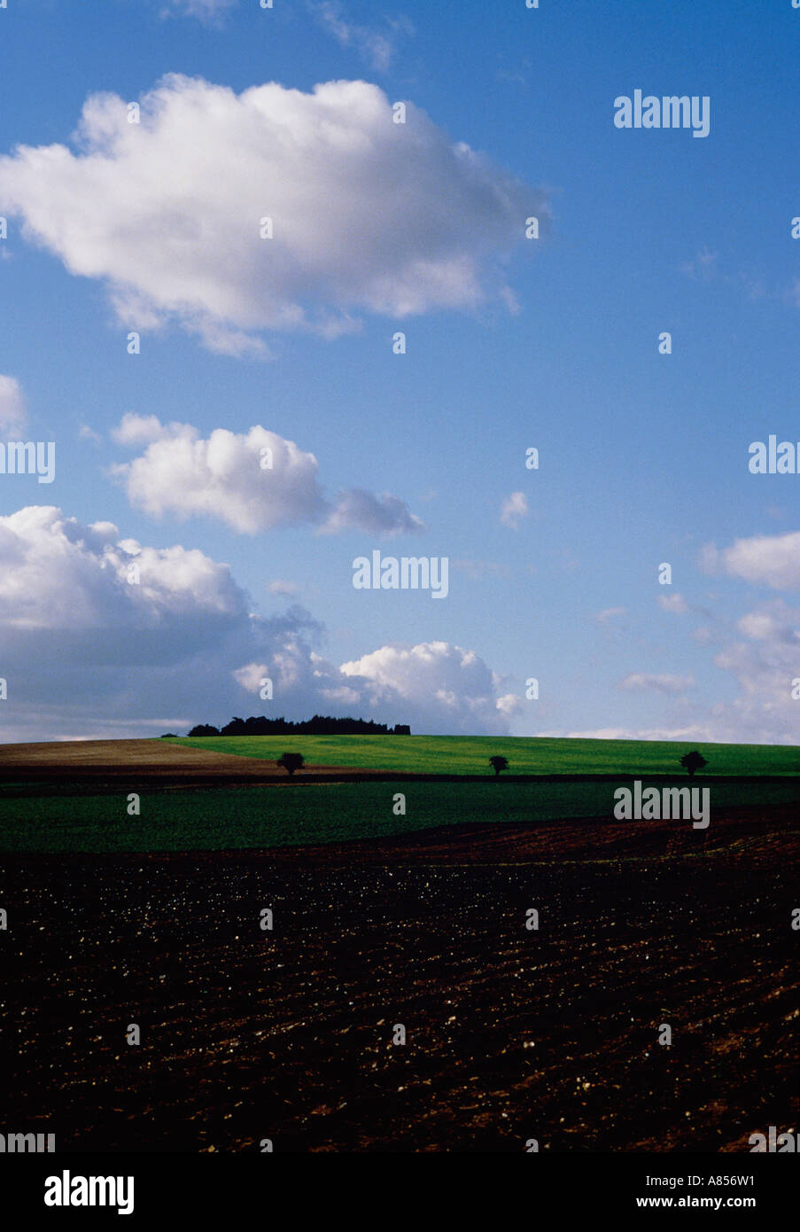 Suffolk landscape fields hi-res stock photography and images - Alamy
