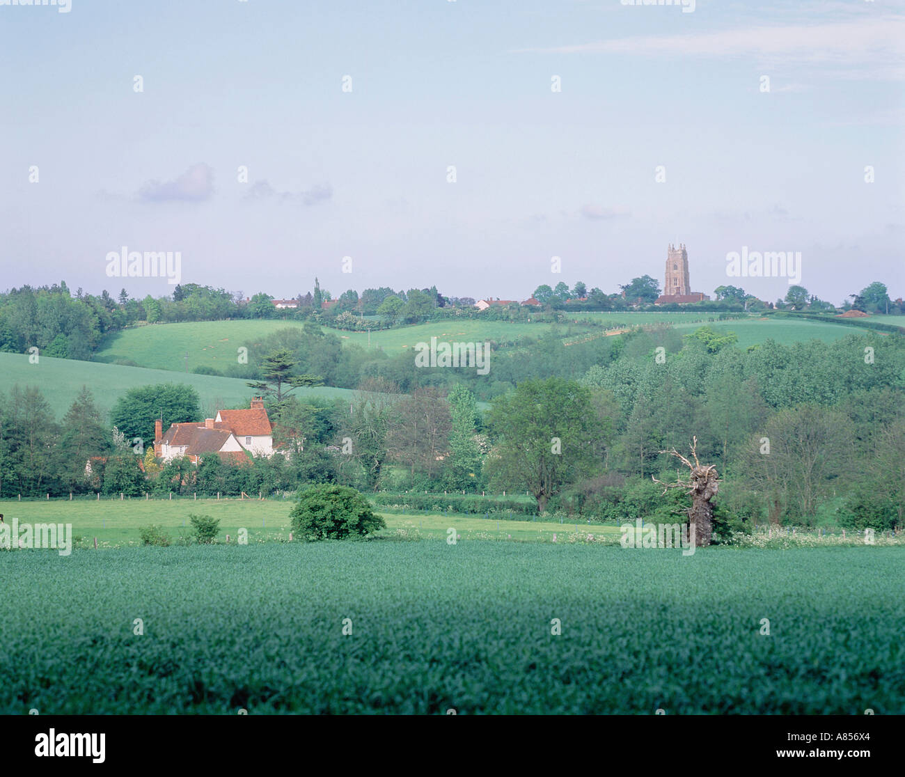 Suffolk landscape fields hi-res stock photography and images - Alamy