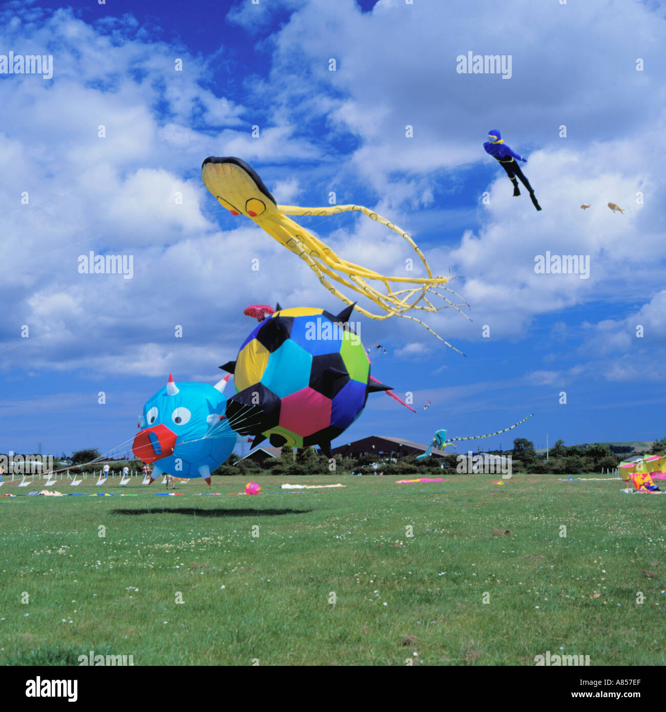 Different shapes of kites hi-res stock photography and images - Alamy