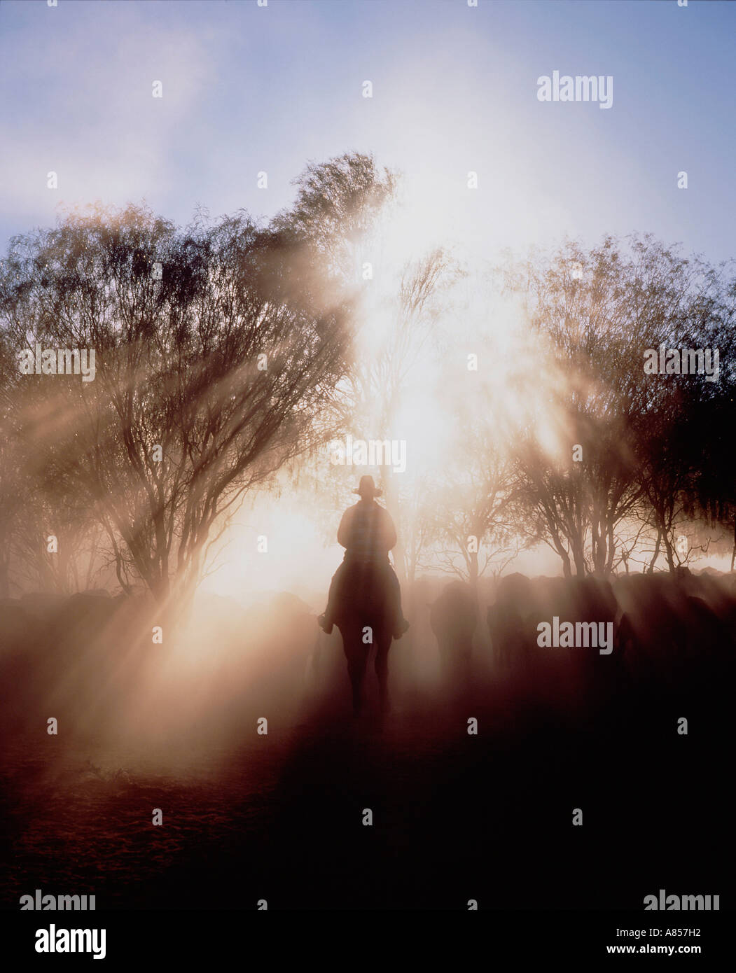 Australian man stock image hi-res stock photography and images - Alamy