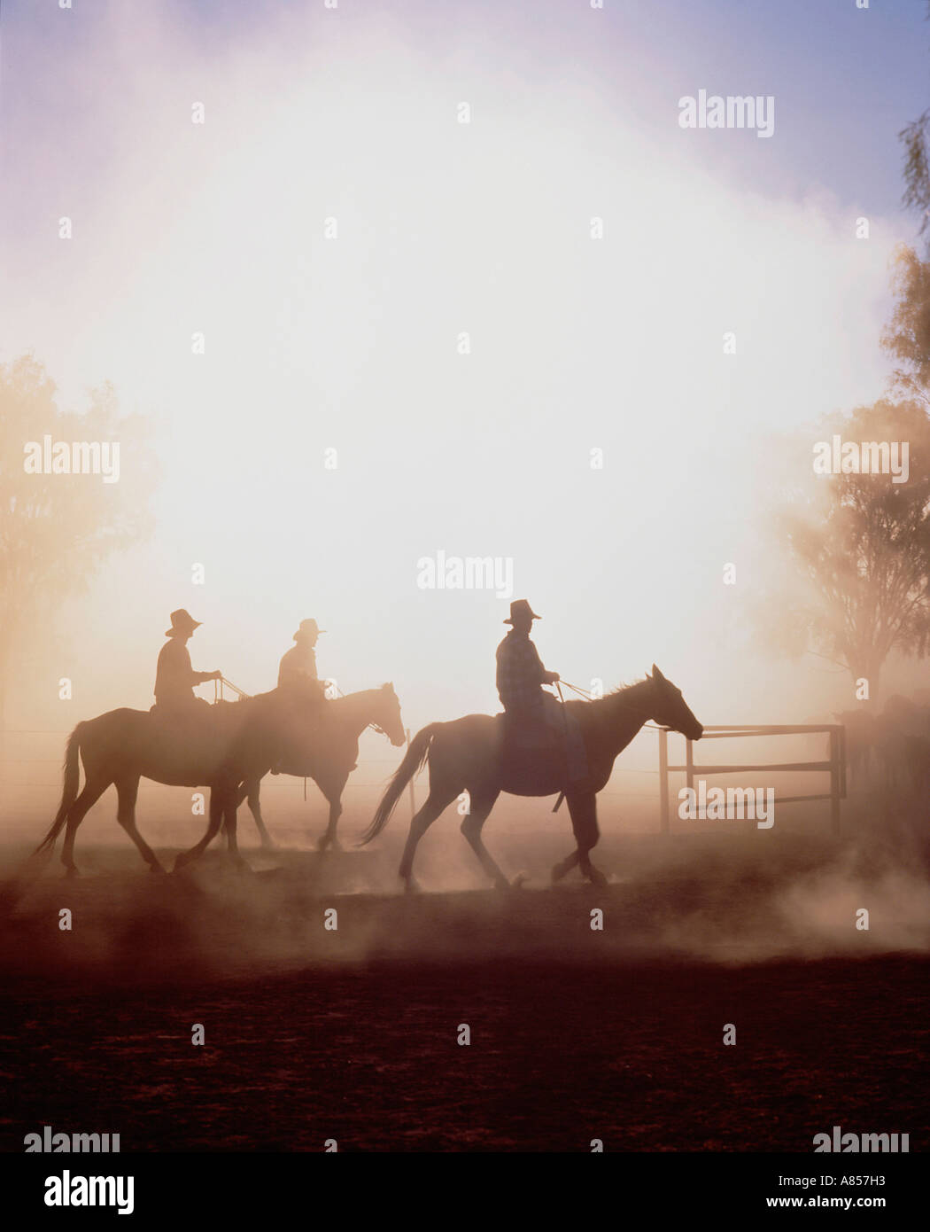 Three cowboys on horseback hi-res stock photography and images - Alamy