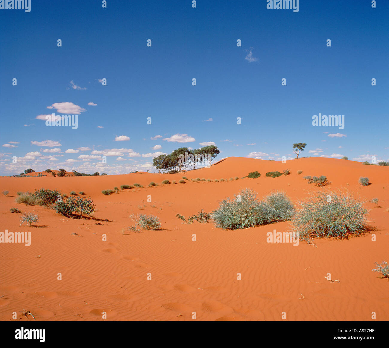 Simpson desert hi-res stock photography and images - Alamy