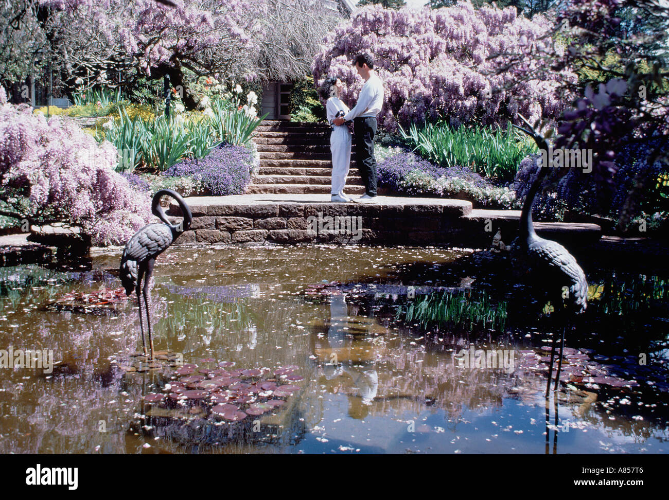 Young romantic couple in ornate garden with pond Stock Photo - Alamy