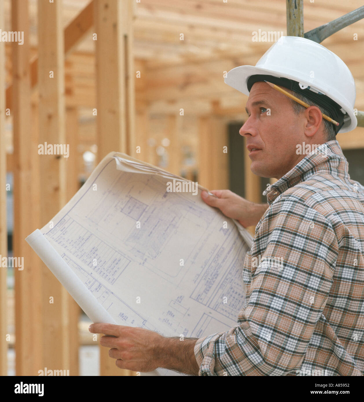 architect studying building blueprints during construction Stock Photo ...