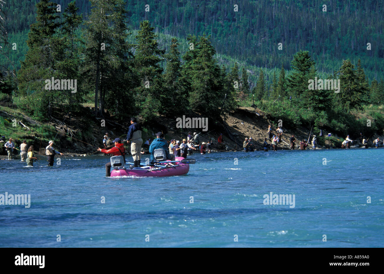 Combat Fishing Kenai River Alaska Stock Photo - Alamy