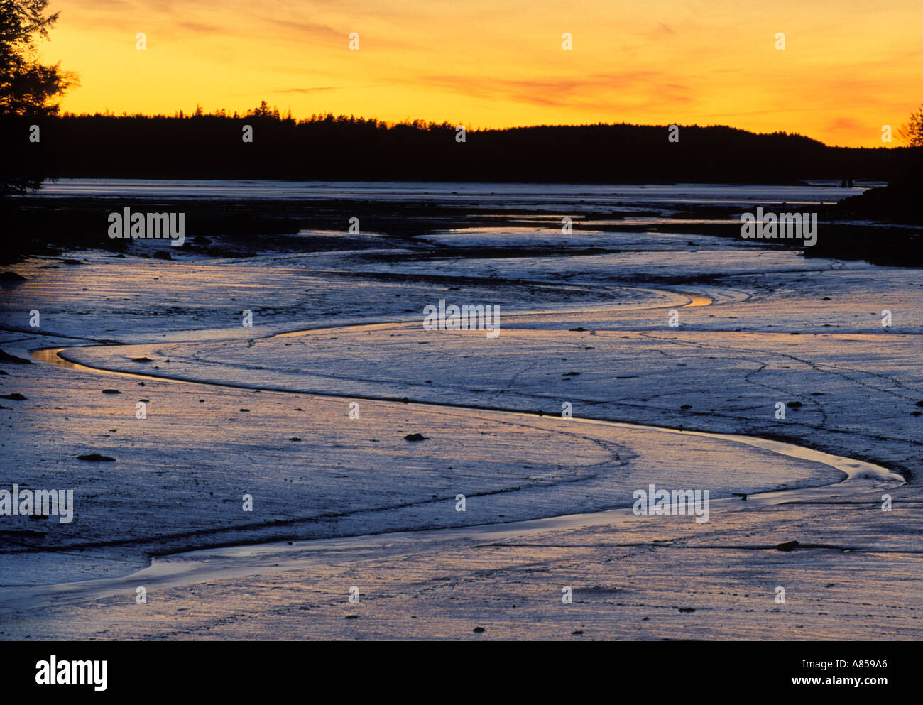Cutler maine hi-res stock photography and images - Alamy