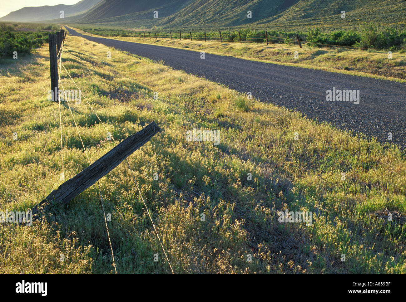 Mind that crab hi-res stock photography and images - Alamy