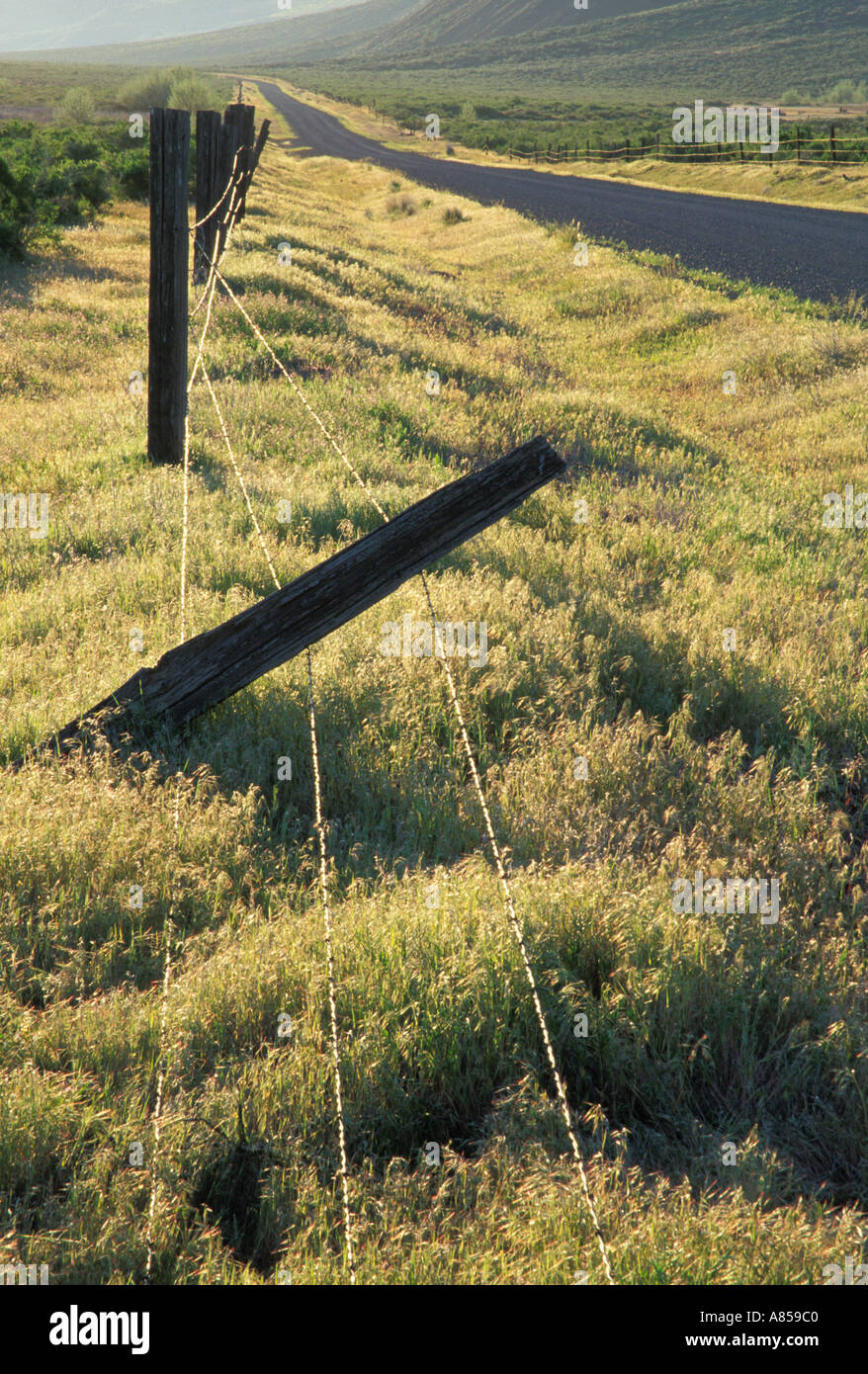 Mind crab hi-res stock photography and images - Alamy