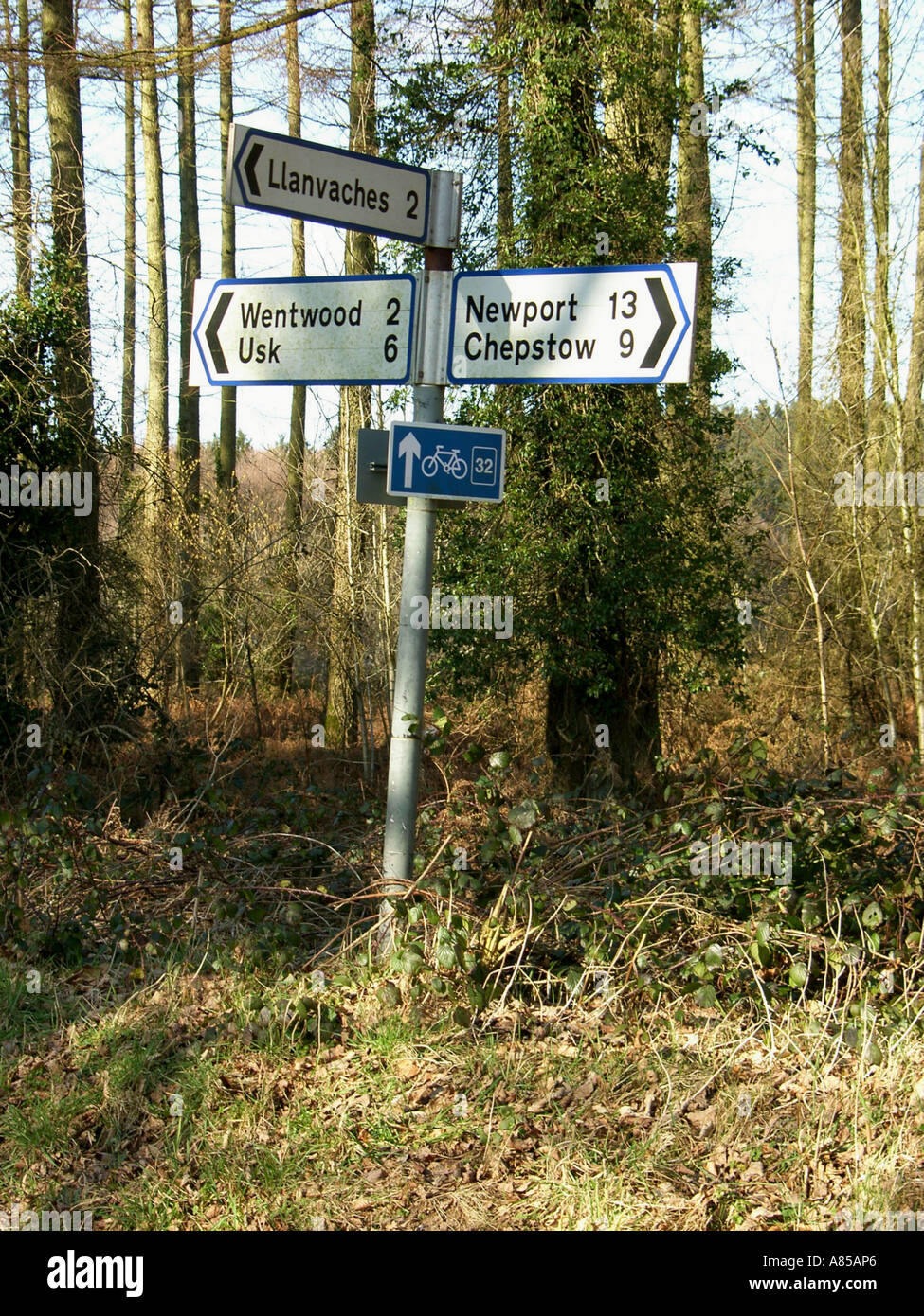 Woodland signs in South Wales UK 2006 Stock Photo - Alamy