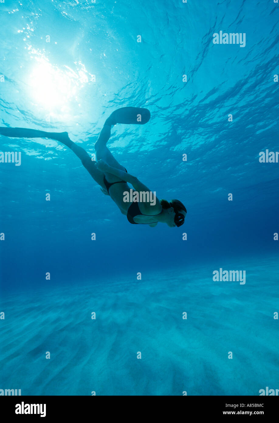 Freediving hi-res stock photography and images - Alamy