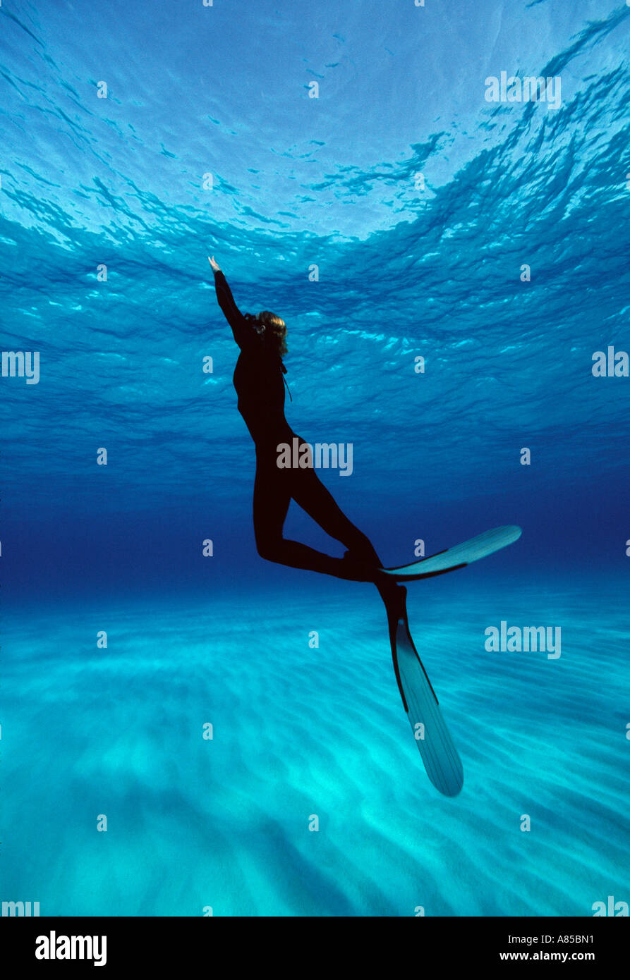 Freediver Stock Photos & Freediver Stock Images - Alamy