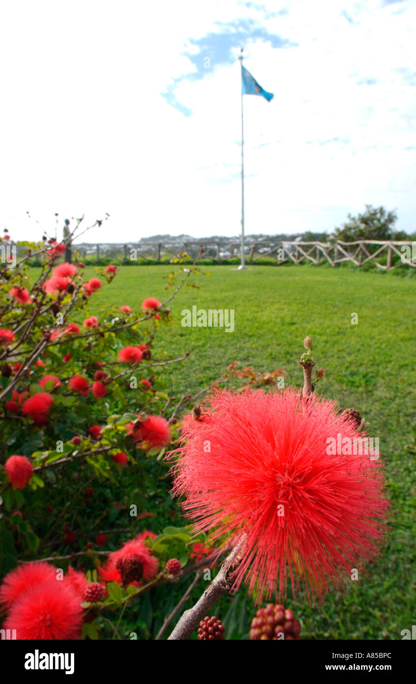 Bermuda flag hi-res stock photography and images - Alamy