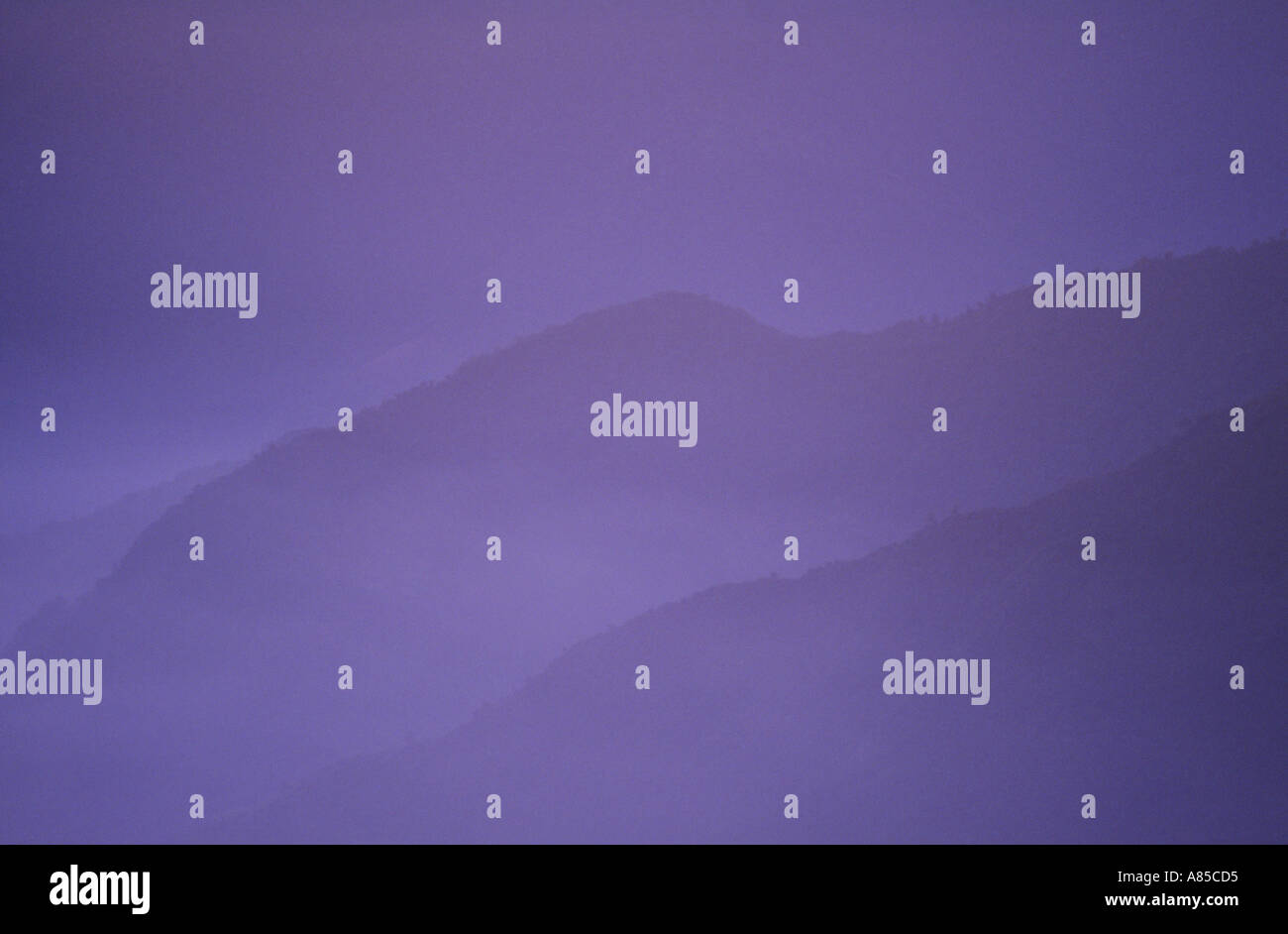 Ali shan hi-res stock photography and images - Alamy