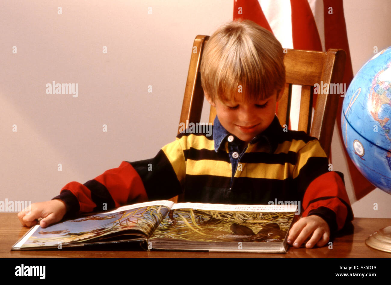 Elementary school student reading textbook in classroom Stock Photo - Alamy