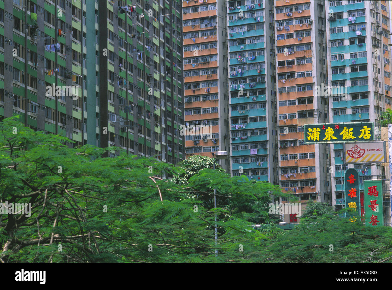 Chaiwan housing estate Hong Kong china Stock Photo - Alamy