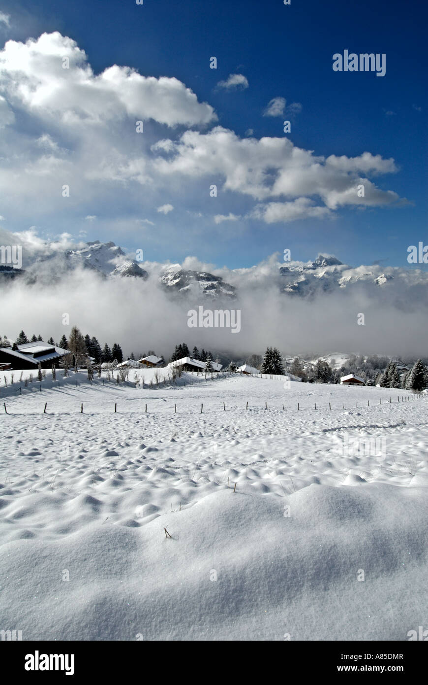 Snowy scene, Barboleuse, Villars, Geneva, Switzerland Stock Photo - Alamy