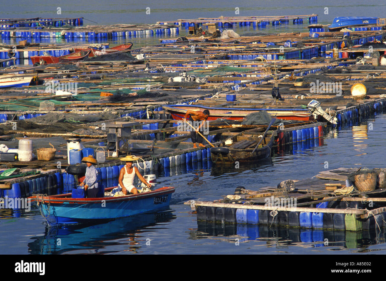 Fish farming Tapmun island Hong Kong china Stock Photo - Alamy