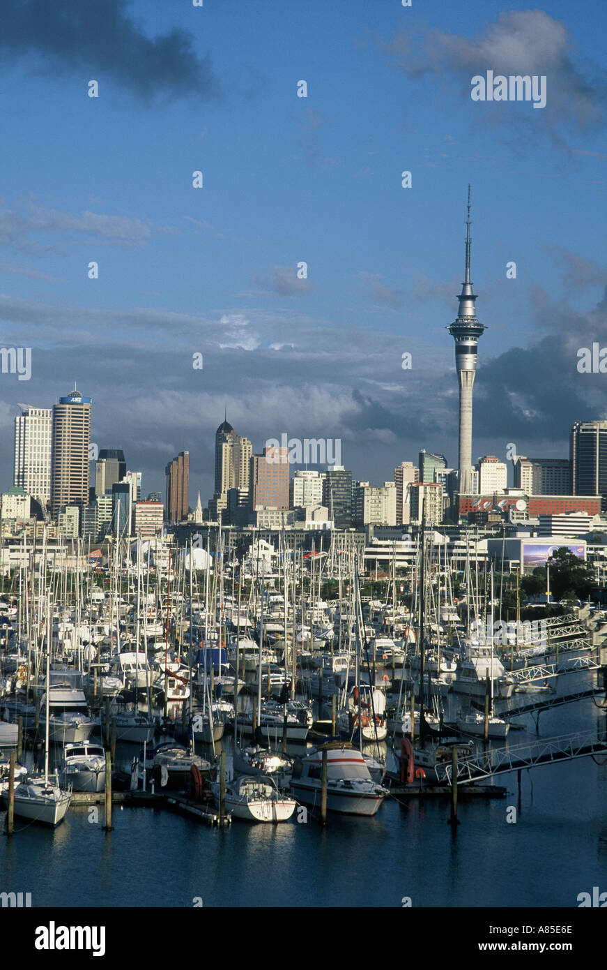 Westhaven Marina Waitemata Harbour Skytower Auckland Skyline New ...