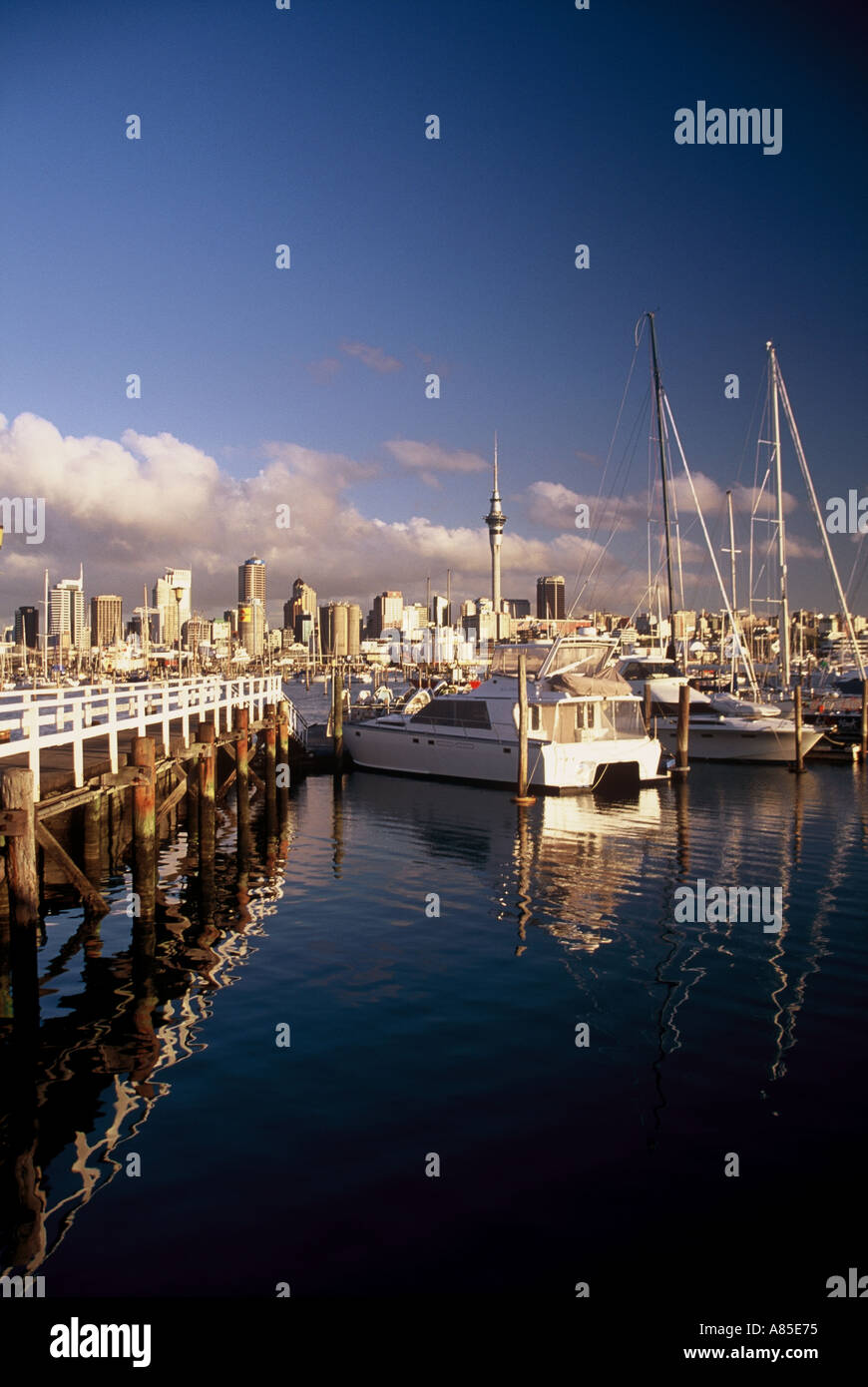 Westhaven Marina Waitemata Harbour Auckland City including Skytower New ...