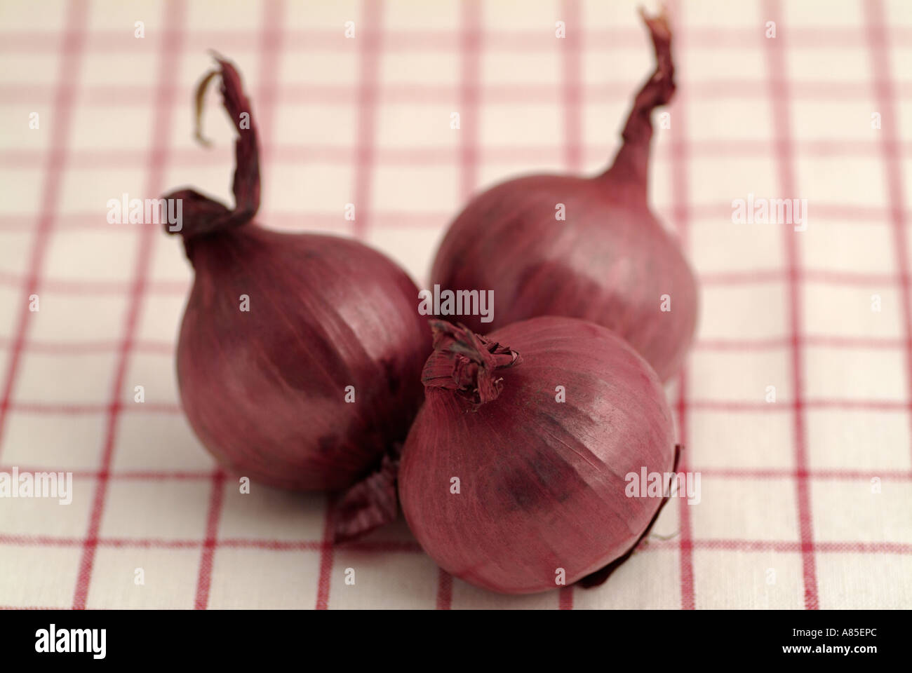 Vegetable Close Up Of Three Italian Red Onions In A Kitchen Ready For ...