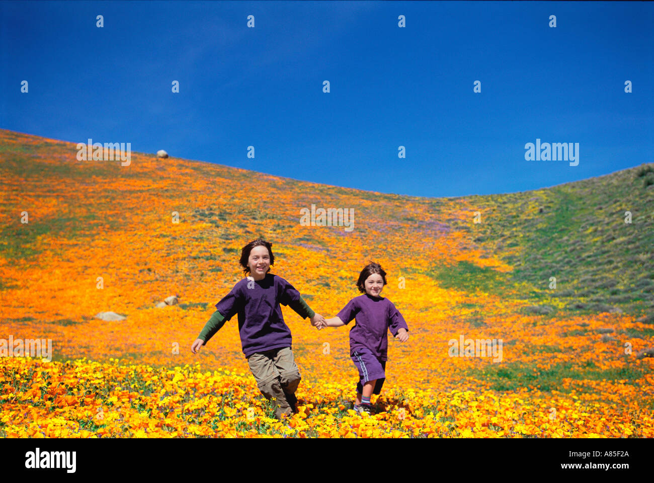 Two Brothers Holding Hands and Running in Field Stock Photo - Alamy
