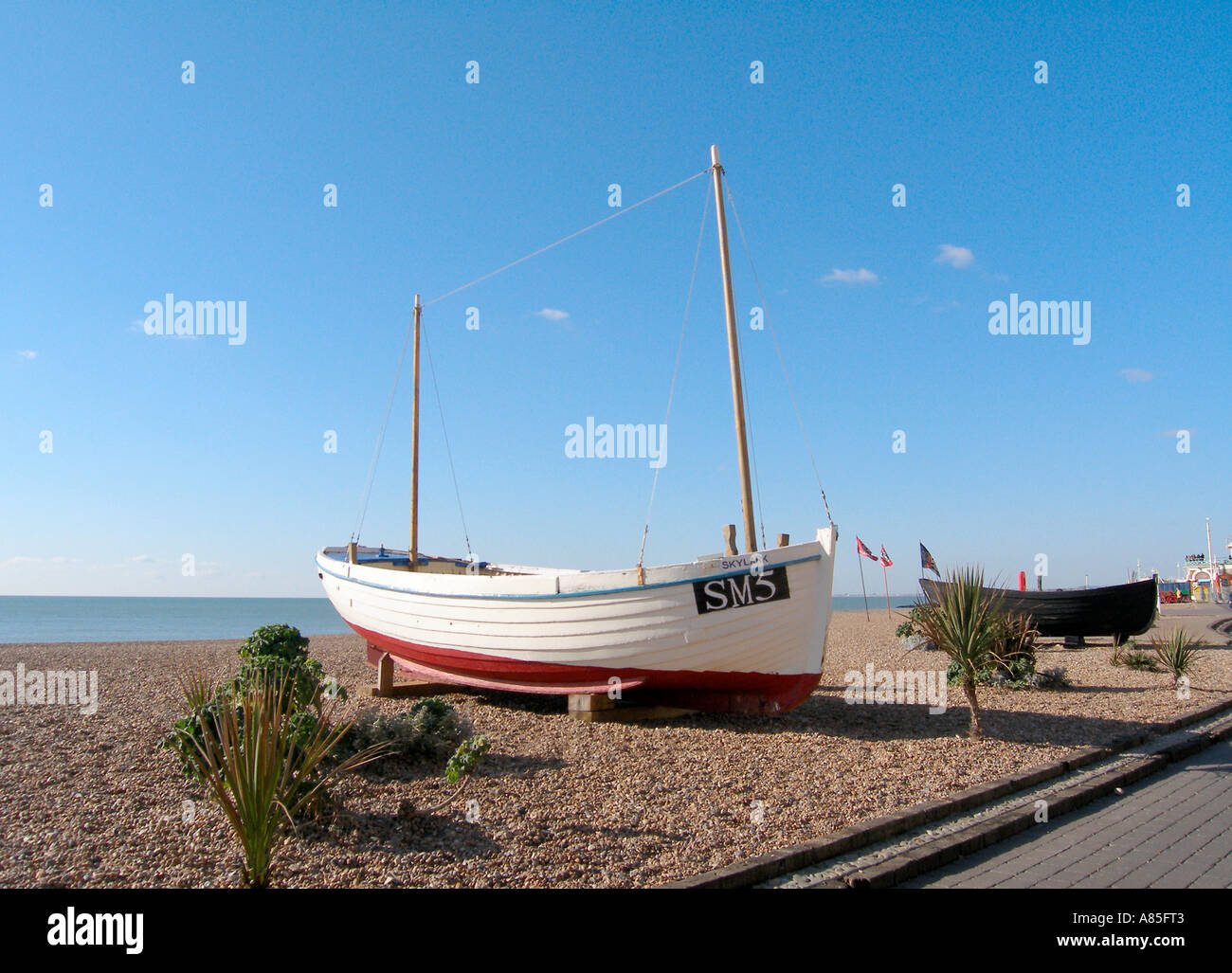 Brighton palm trees hi-res stock photography and images - Alamy