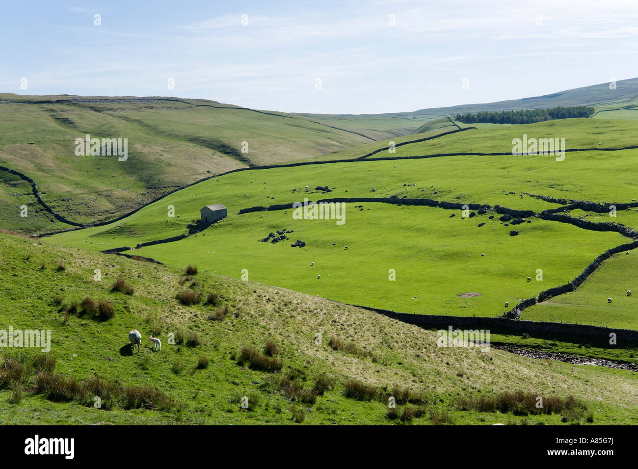 Countryside above Arncliffe in Wharfedale, Yorkshire Dales National ...