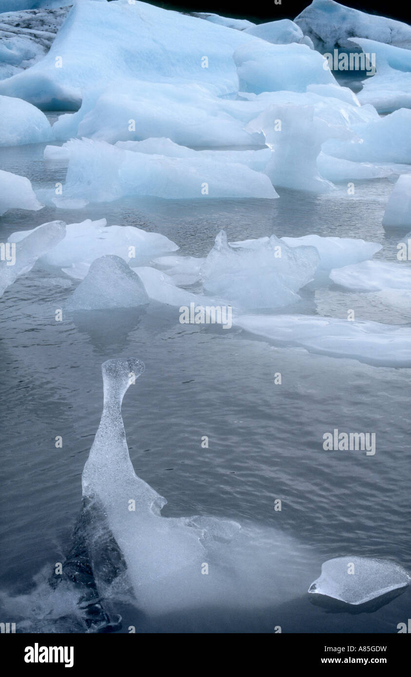 ALASKA GLACIERS ICEBERGS, USA Stock Photo - Alamy