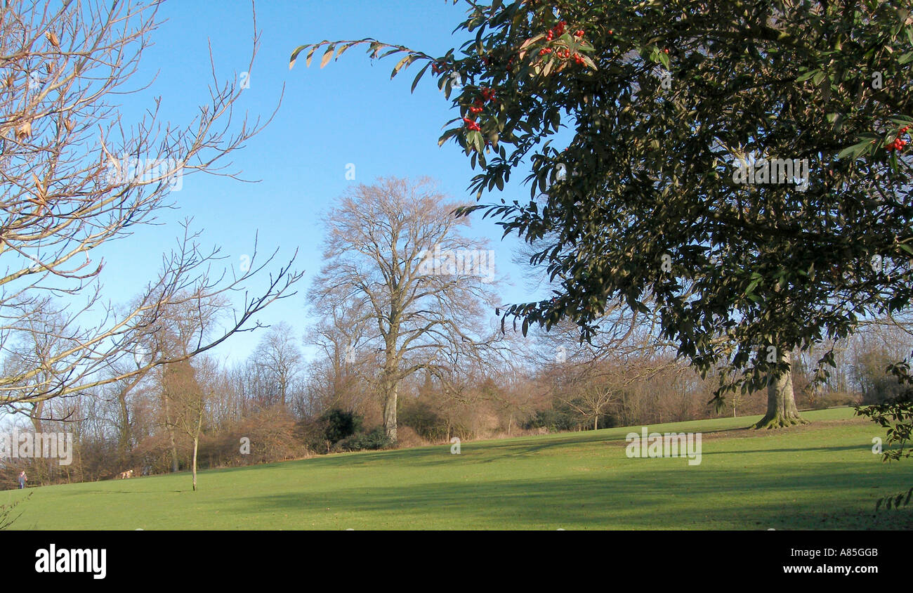 Withdean Park, Brighton, East Sussex, England, UK, United Kingdom ...