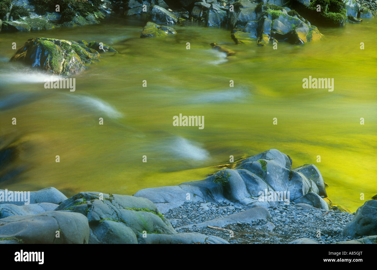 WATER CASCADING WATERFALL RIVER, RAINFOREST, OLYMPIC NATIONAL PARK ...
