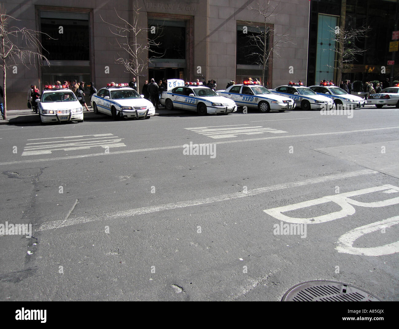 Police cars parked across street, New York, America USA Stock Photo - Alamy